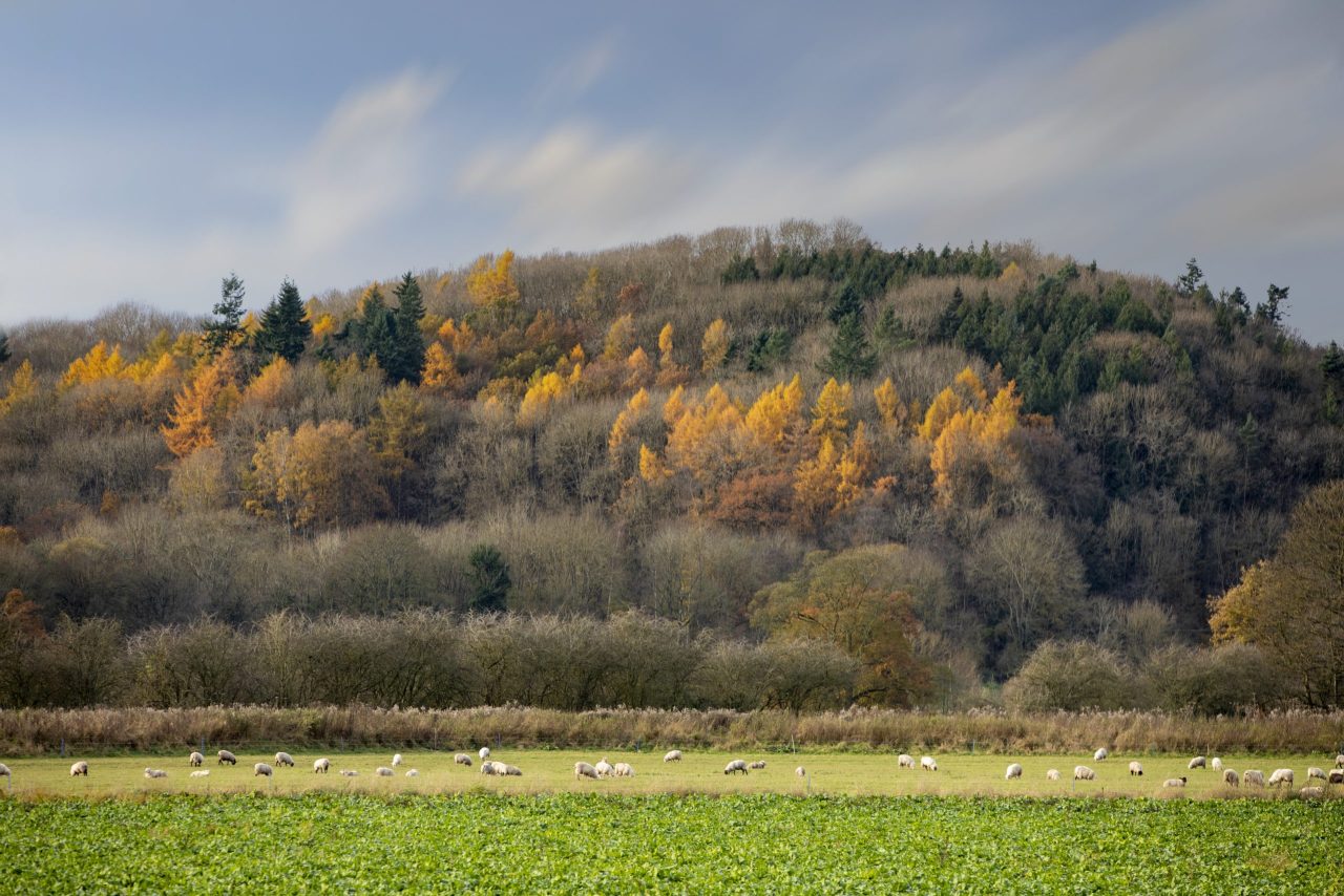Apley & Our Environment - Apley Estate